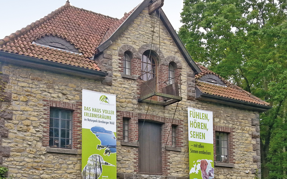 Liz Wasser und Wald - schleuse01.de